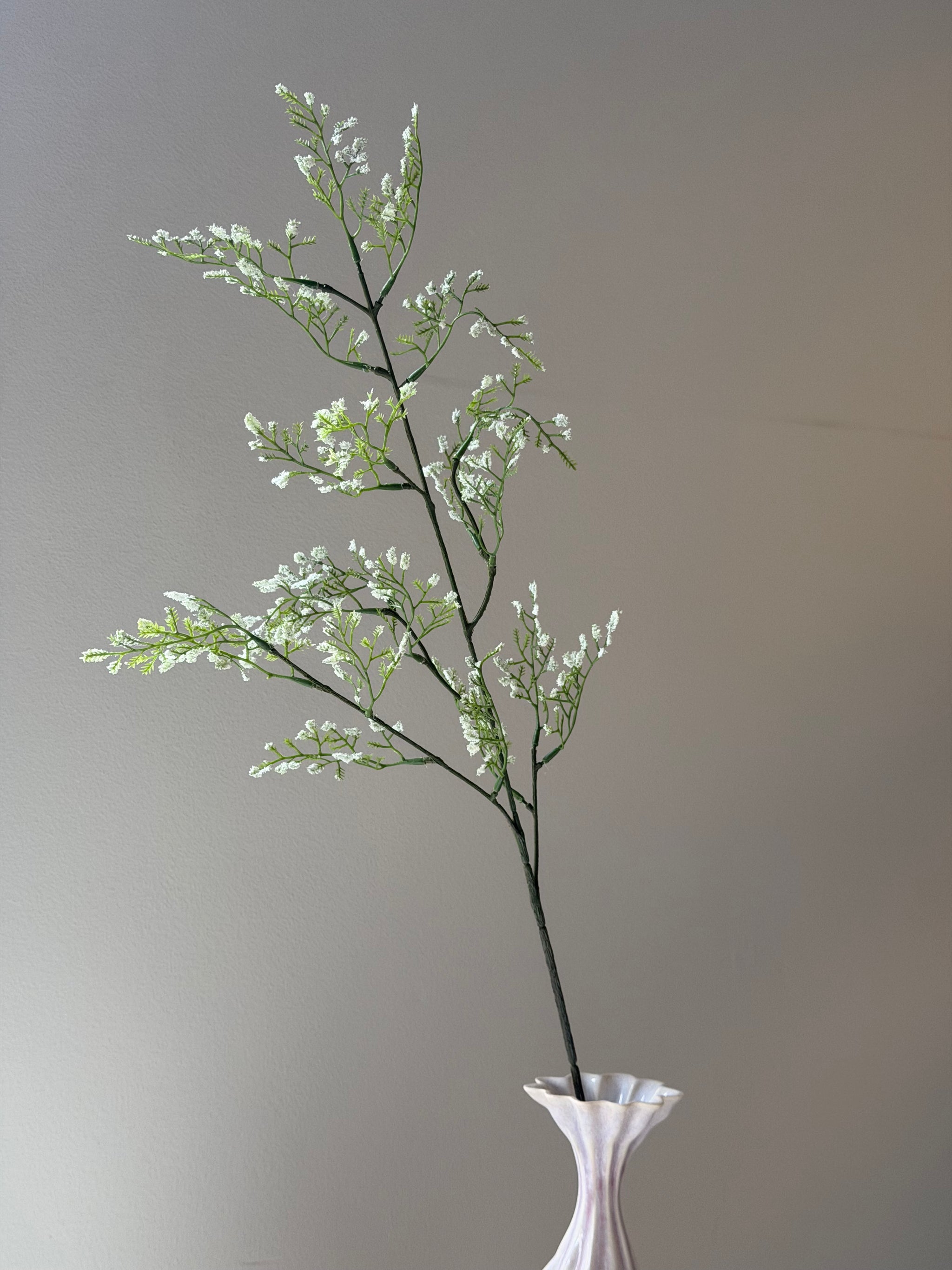 Limonium gren hvid